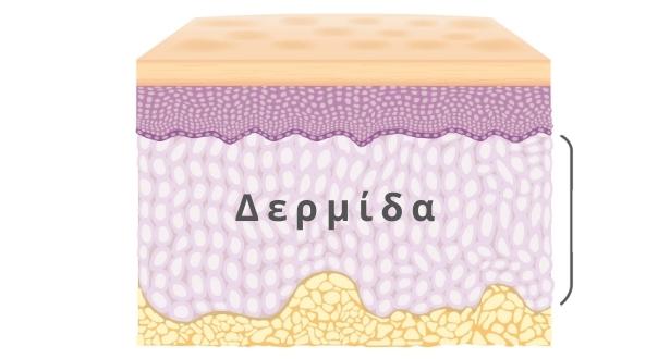 Ρυτίδες: Τι είναι, Πού οφείλονται & Πώς φεύγουν | THE ANTIAGERS